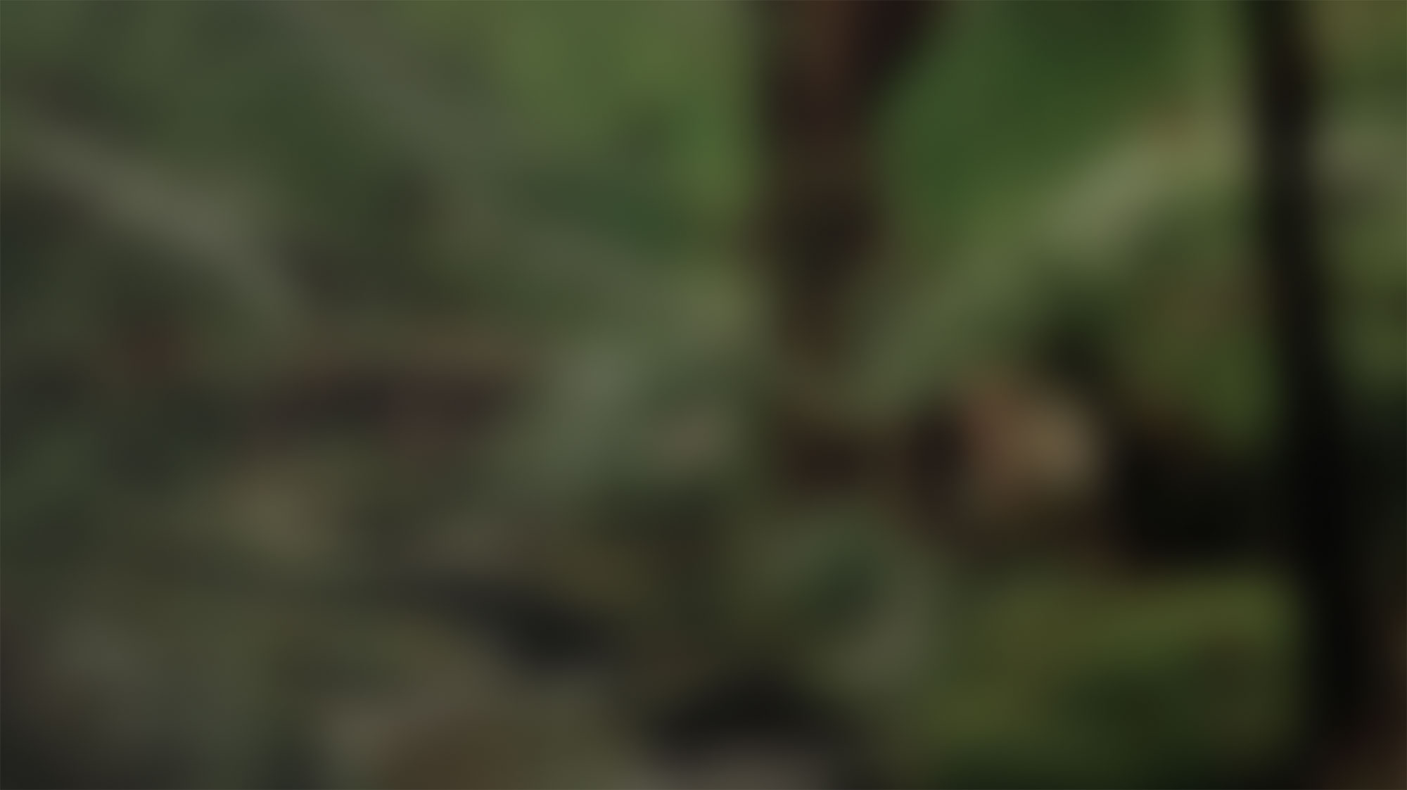 Welcome to Eterno Property Group - leading property developer in Australia